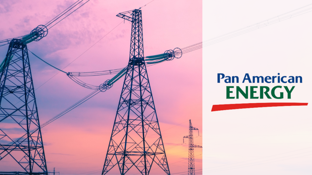 Pan American Energy agiliza los procesos de venta para sus ...